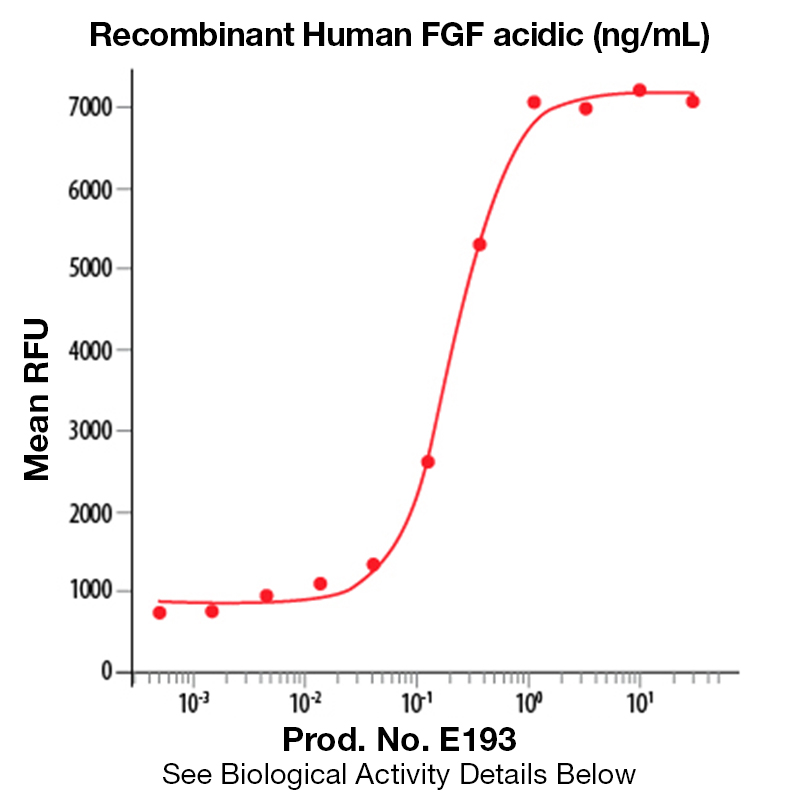 Recombinant Human FGFAcidic (aa 2155) | Leinco