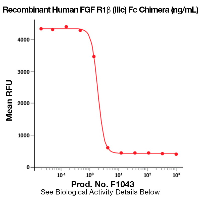 Recombinant Human FGF R1β (IIIc) - Leinco Technologies