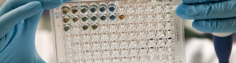 Immunoassay Development | Leinco