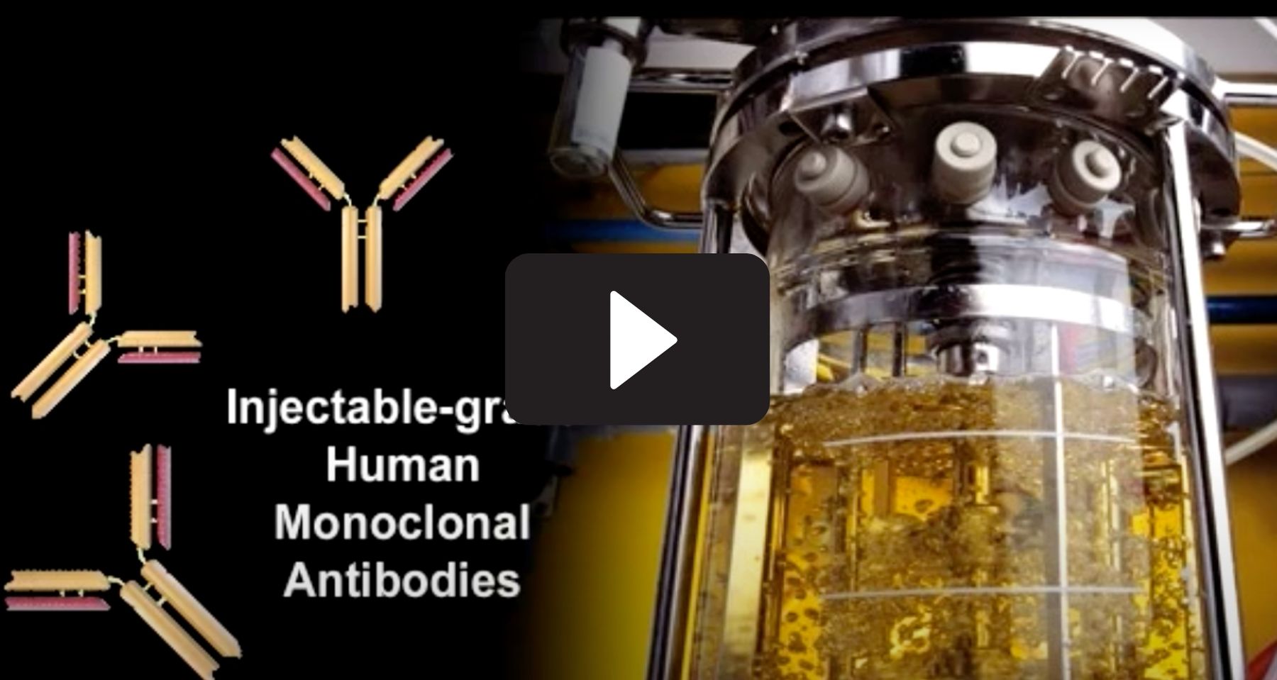 Video Hub - Protocols, Applications, Processes - Leinco Technologies