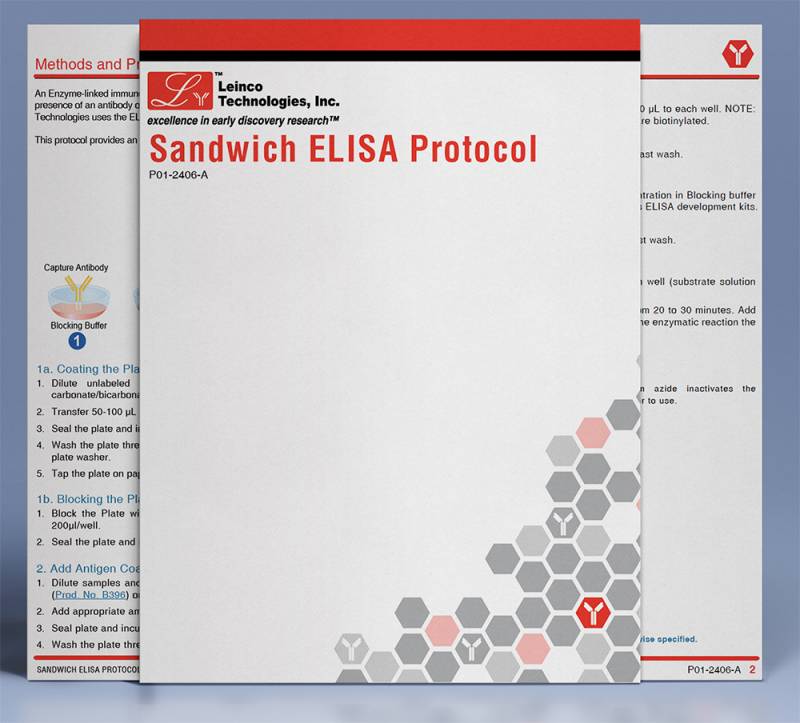 Sandwich ELISA Protocol Guide | Leinco Technologies